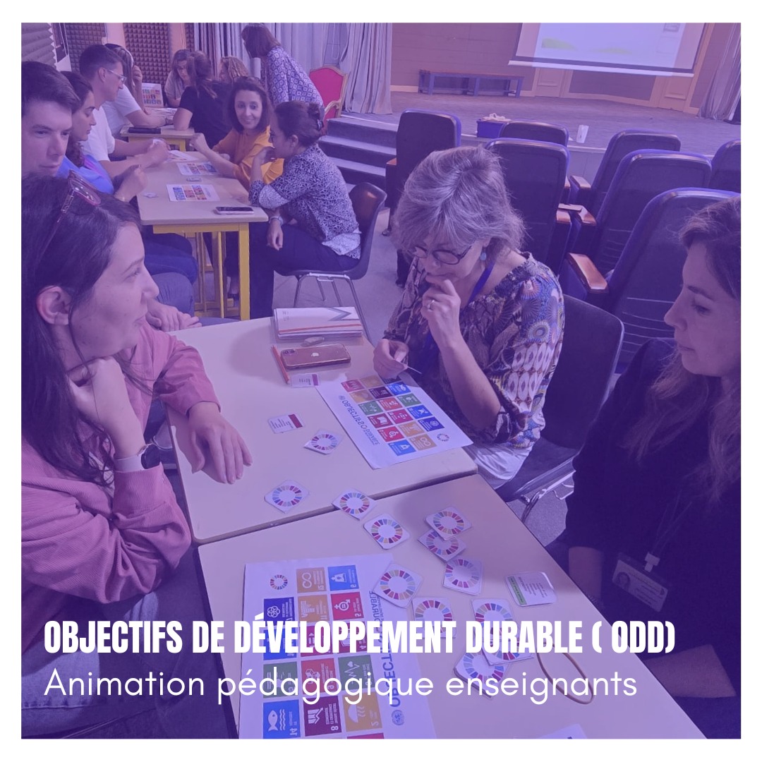 Accueil - Ecole Francaise internatioale de Riyad