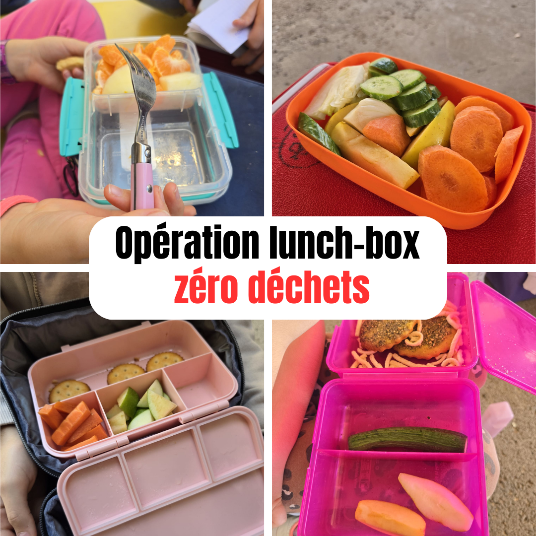 Opération lunch Box Zéro Déchets - Ecole Francaise internatioale de Riyad
